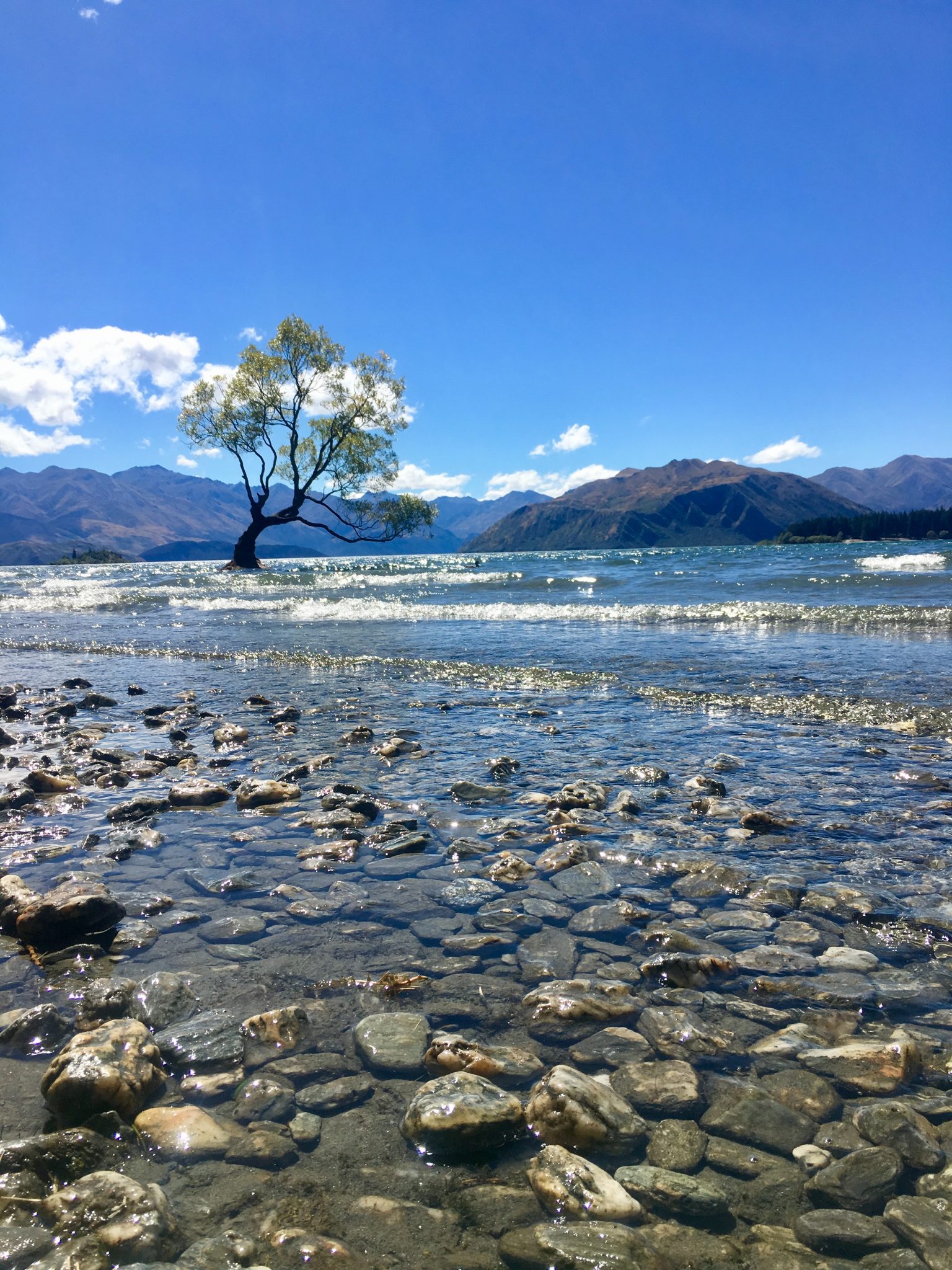 Naskhah Melayu Klasik Khazanah Berharga Bangsa Melayu – WadahDBP