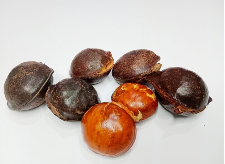 Senjata Segenggam: Warisan, Fungsi dan Akal Budi Orang Melayu – WadahDBP