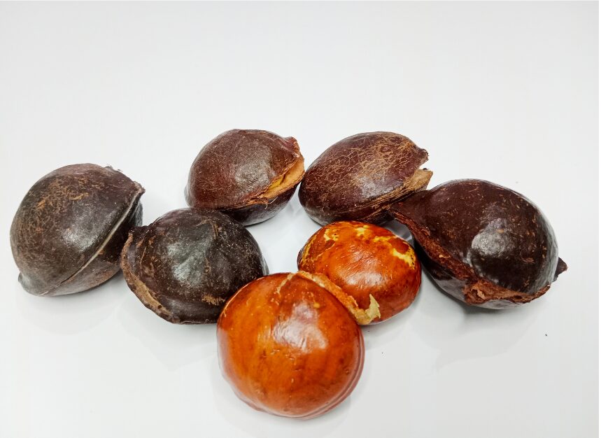 Senjata Segenggam: Warisan, Fungsi dan Akal Budi Orang Melayu – WadahDBP